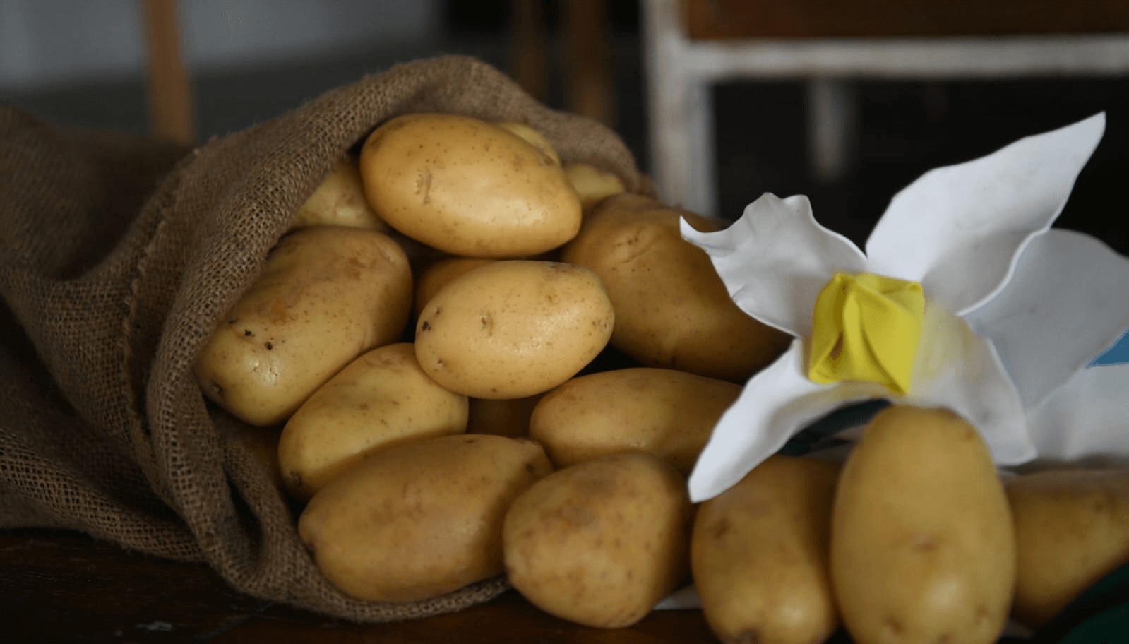 Papas, mayor productividad y altos costos de produccion. – Tierra de Campos